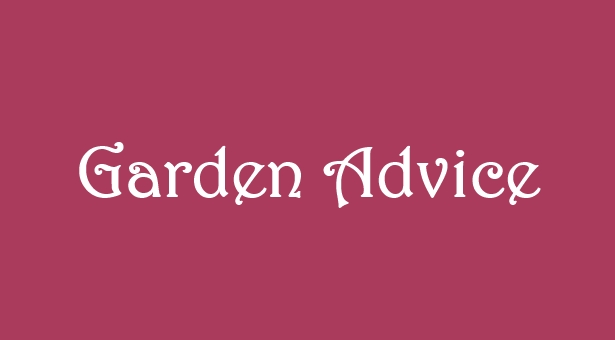 Home - sjgardenadvice.co.uk