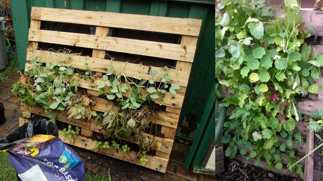 How to make a recycled Pallet Planter - sjgardenadvice.co.uk